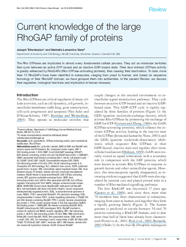 (PDF) Current knowledge of the large RhoGAP family of proteins