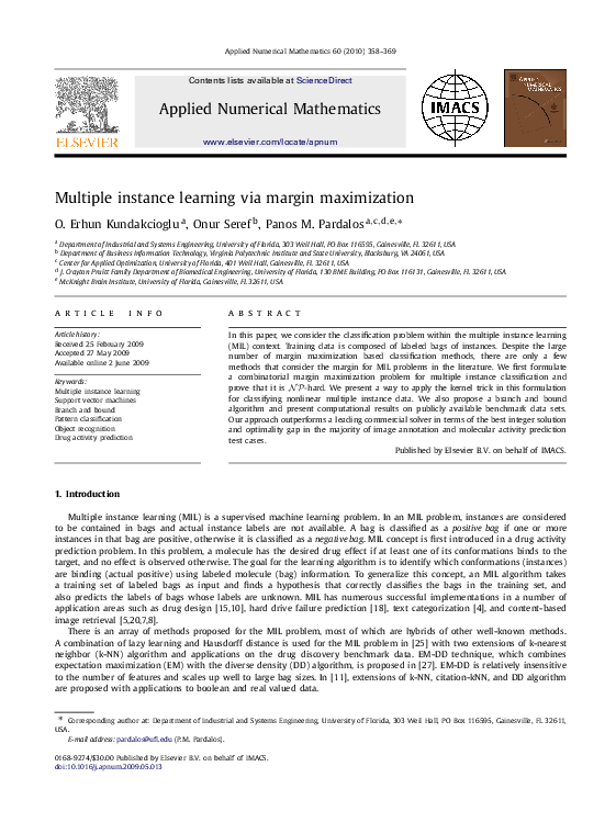 (PDF) Multiple instance learning via margin maximization
