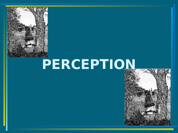 (PPT) PERCEPTION(cognitivepsychology).pptx