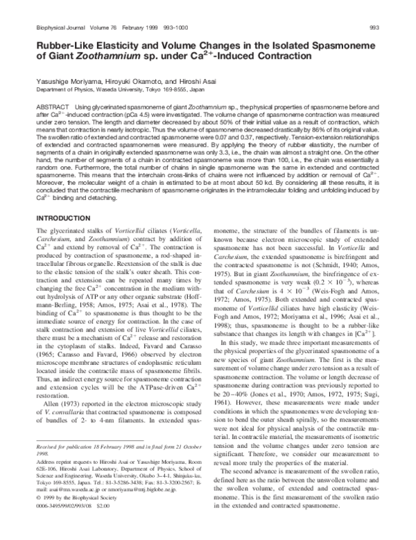 (PDF) Rubber-Like Elasticity and Volume Changes in the Isolated ...
