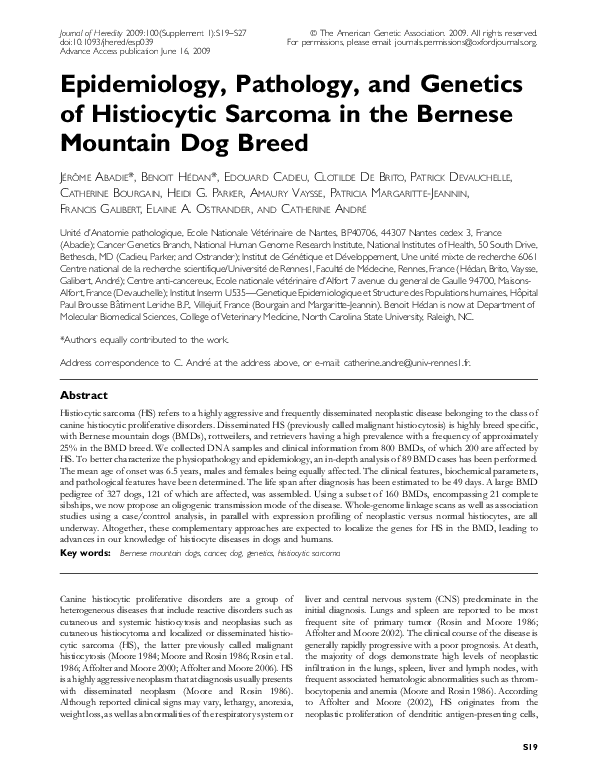 (PDF) Causes of death and the impact of histiocytic sarcoma on the life ...