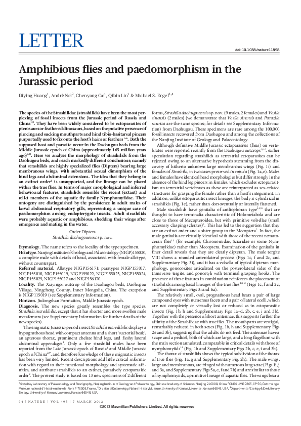 (PDF) Amphibious flies and paedomorphism in the Jurassic period