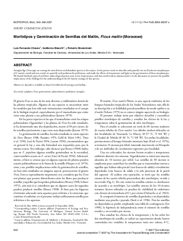 (PDF) Morfotipos y Germinaci n de Semillas del Maitin, Ficus maitin ...