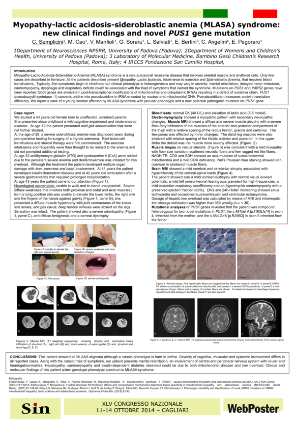 (PPT) Myotonic dystrophy Imaging