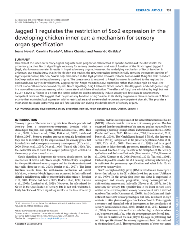 (PDF) The mouse slalom mutant demonstrates a role for Jagged1 in ...