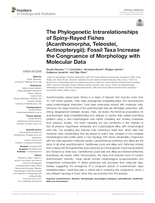 (PDF) The phylogenetic intrarelationships of spiny-rayed fishes ...