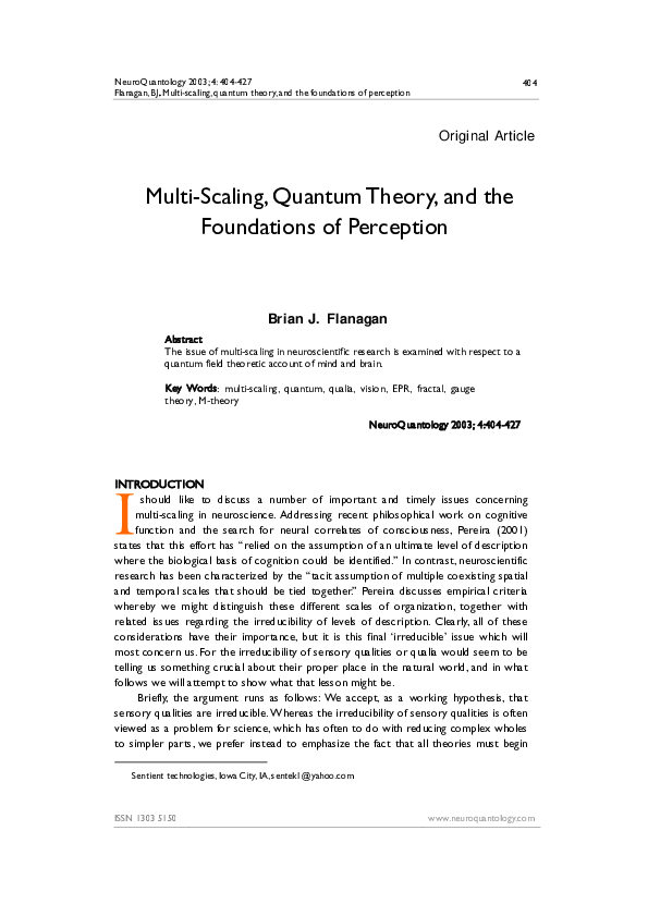 (PDF) Multi-scaling, Quantum Theory, and the Foundations of Perception