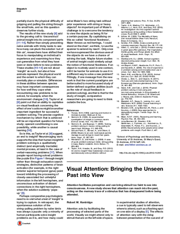 (PDF) Visual attention: bringing the unseen past into view