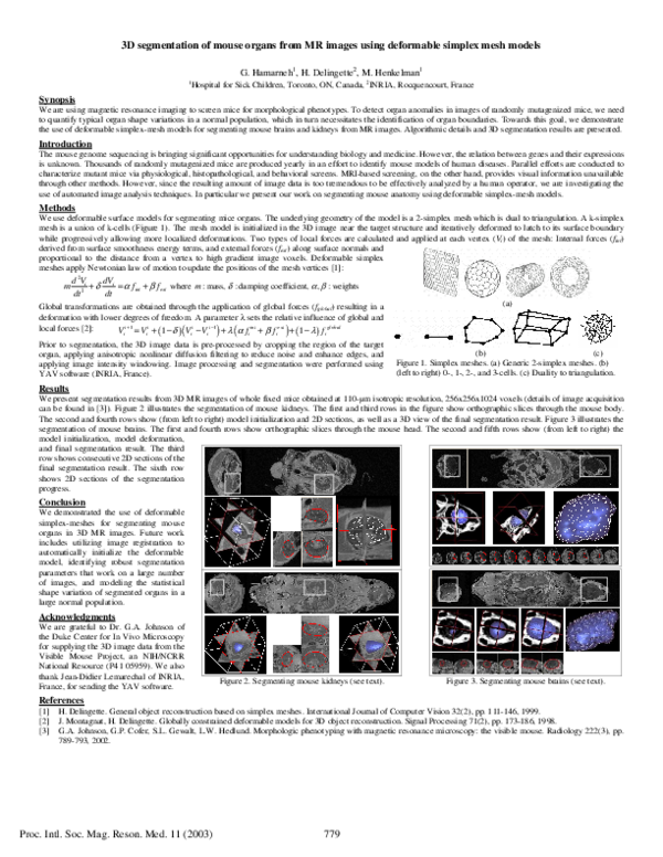 Pdf 3d Segmentation Of Mouse Organs From Mr Images Using Deformable Simplex Mesh Models
