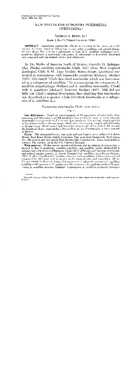 (PDF) New Status for Eumorpha intermedia (Sphingidae).