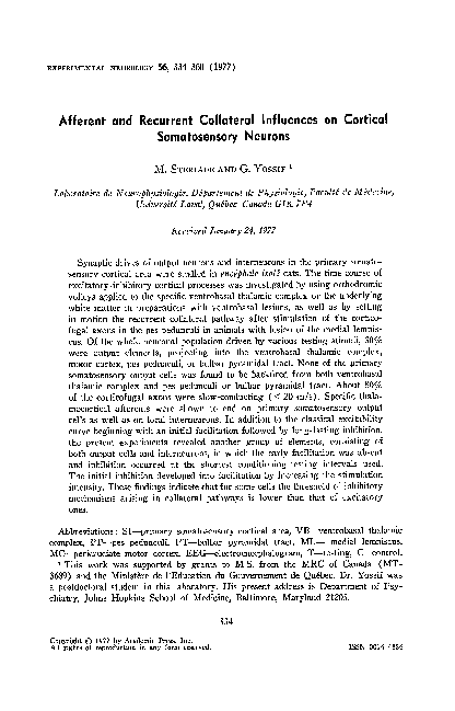 (PDF) Afferent and recurrent collateral influences on cortical ...