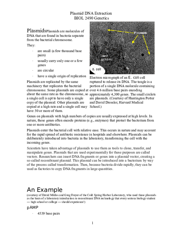 (DOC) Plasmid Extraction Lab