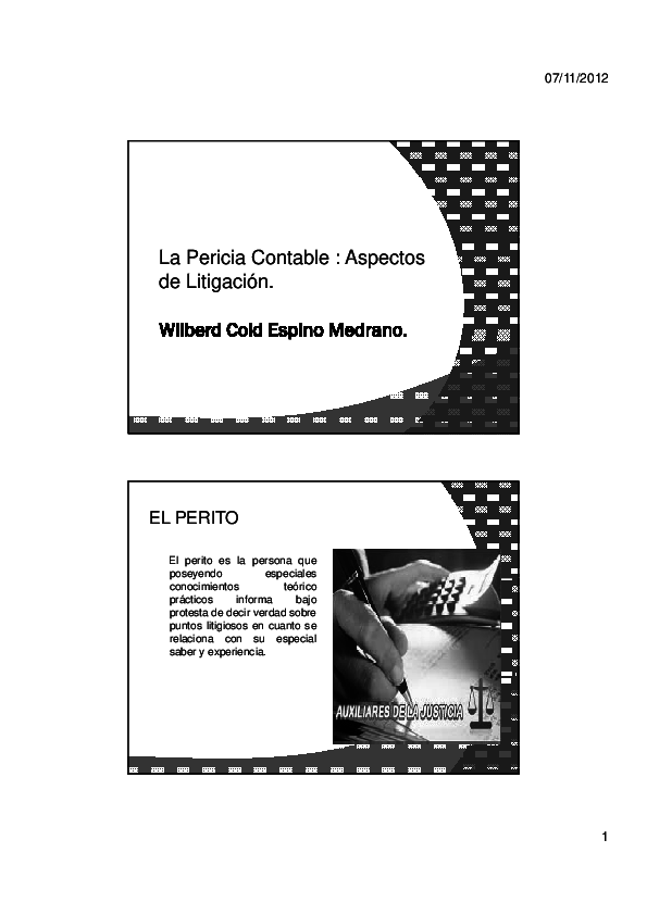 (PDF) La Pericia Contable : Aspectos de Litigación