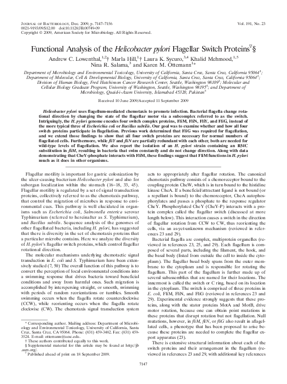 (PDF) Functional Analysis of the Helicobacter pylori Flagellar Switch ...