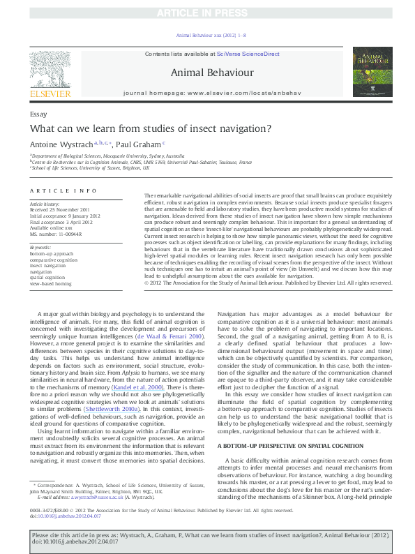 (PDF) What can we learn from studies of insect navigation?