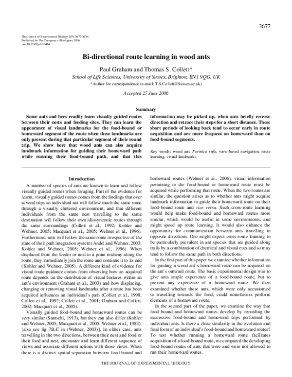 (PDF) Bi-directional route learning in wood ants