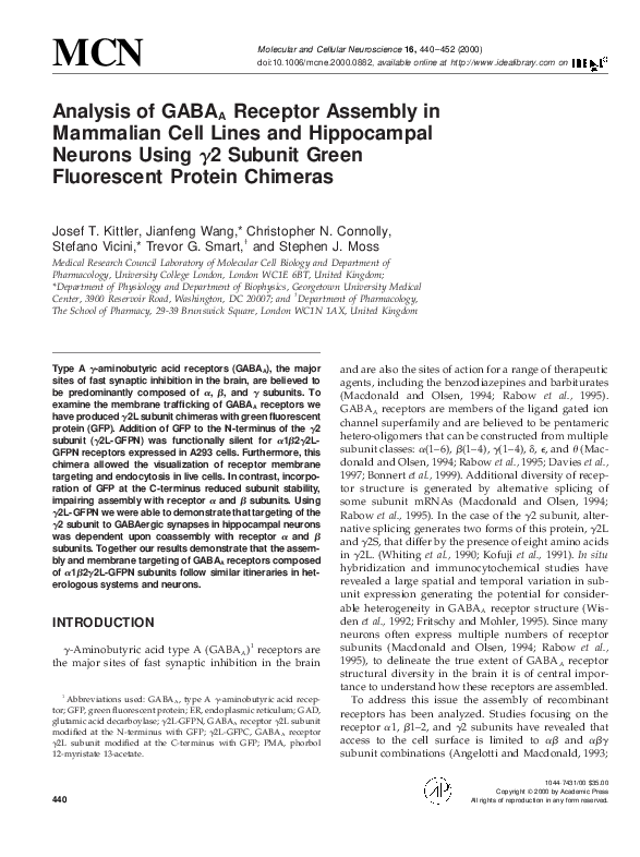 (PDF) GABAC ρ1 Subunits Form Functional Receptors But Not Functional ...