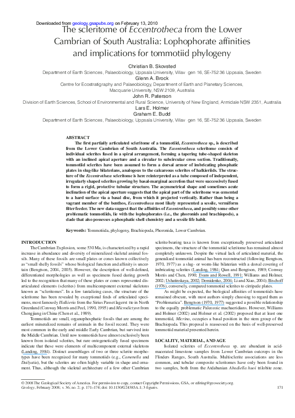 (PDF) The scleritome of Eccentrotheca from the Lower Cambrian of South ...