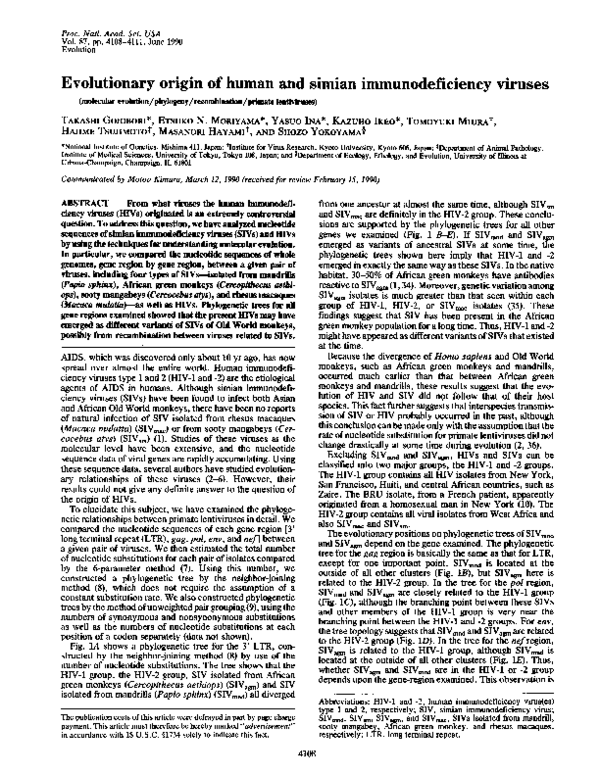 (PDF) Evolutionary origin of human and simian immunodeficiency viruses