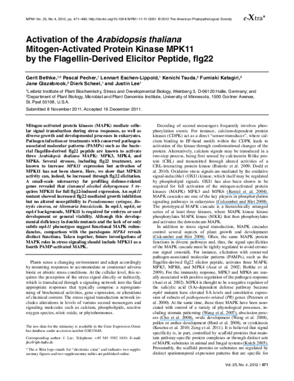(PDF) Activation of the Arabidopsis thaliana mitogen-activated protein ...