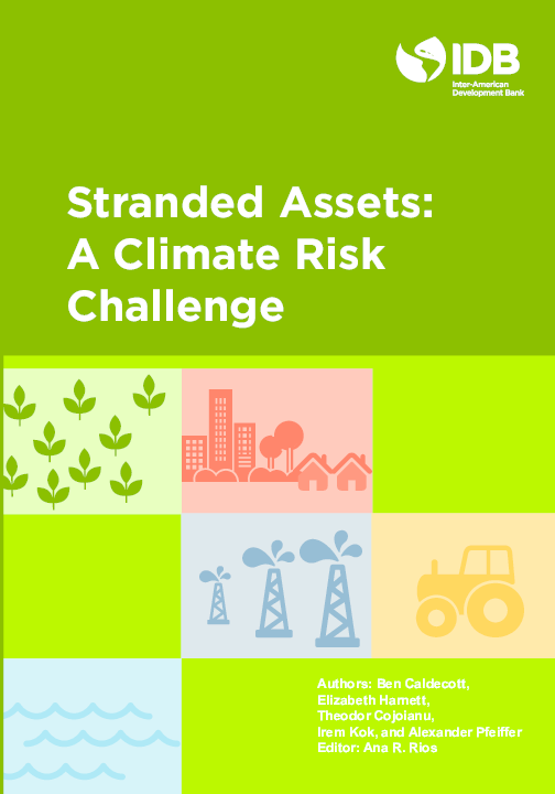 (PDF) Stranded Assets: A Climate Risk Challenge