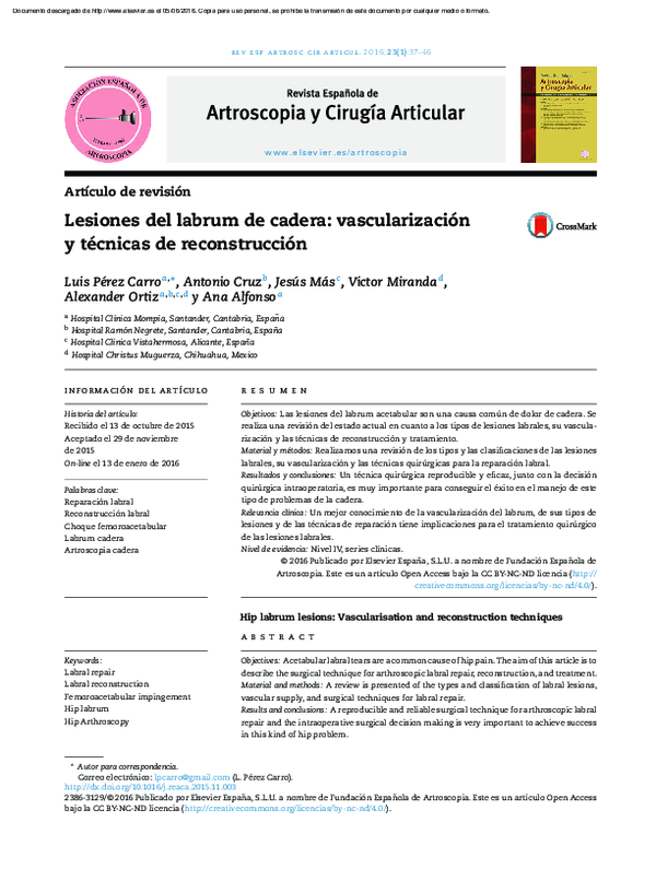 (PDF) Lesiones del labrum de cadera: vascularización y técnicas de ...