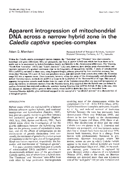 (PDF) Apparent introgression of mitochondrial DNA across a narrow ...