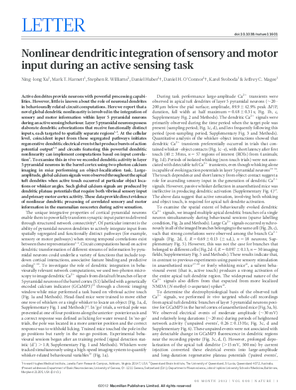 Pdf Nonlinear Dendritic Integration Of Sensory And Motor Input During
