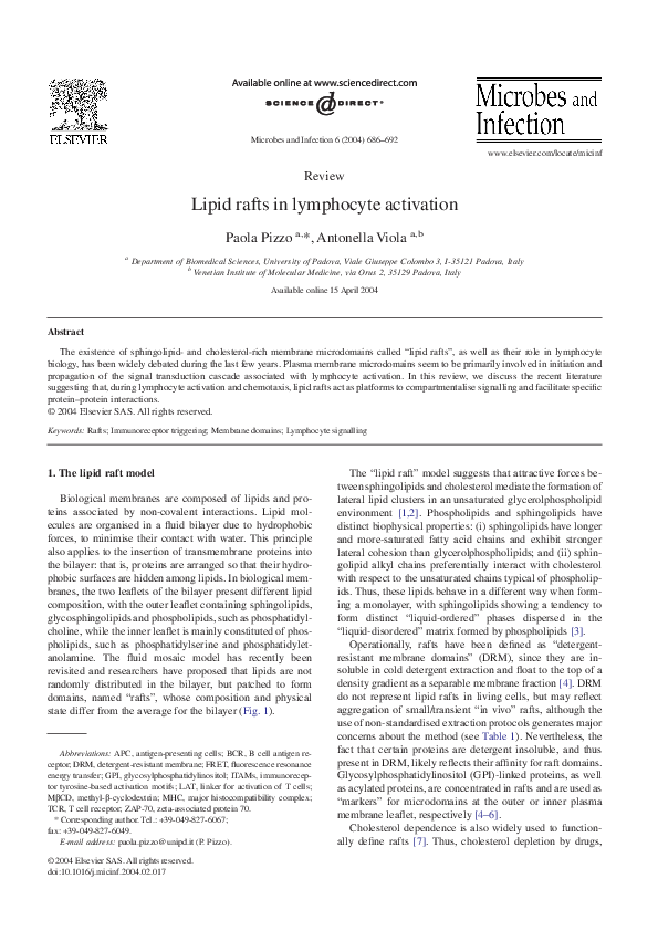 (PDF) Floating the raft hypothesis: the roles of lipid rafts in B cell ...