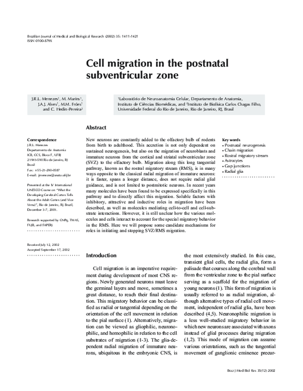 (PDF) Cell migration in the postnatal subventricular zone
