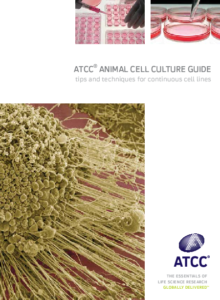 (PDF) ATCC ® ANIMAL CELL CULTURE GUIDE tips and techniques for ...