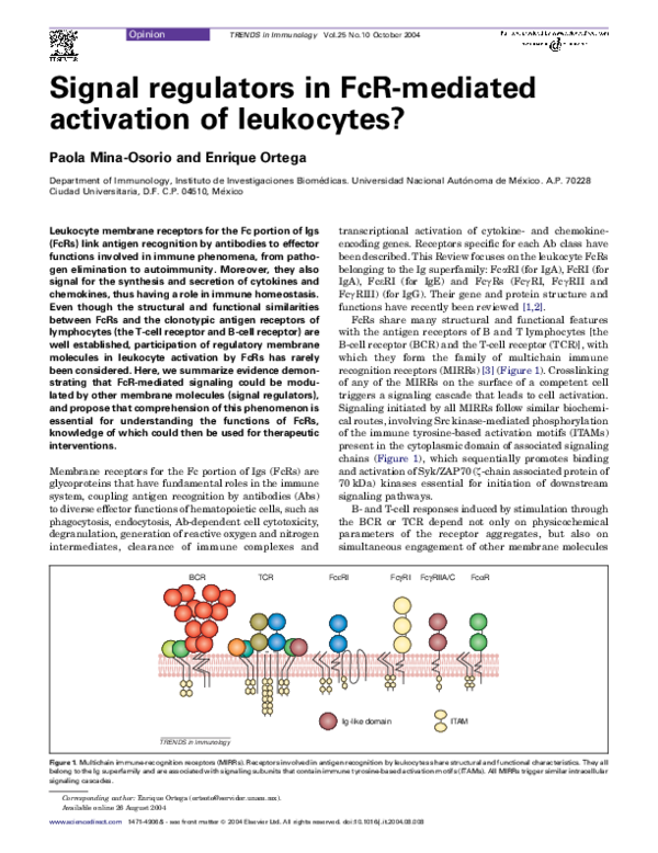 (PDF) Signal regulators in FcR-mediated activation of leukocytes?