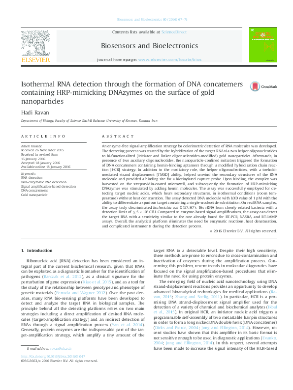 (PDF) Isothermal RNA detection through the formation of DNA concatemers ...