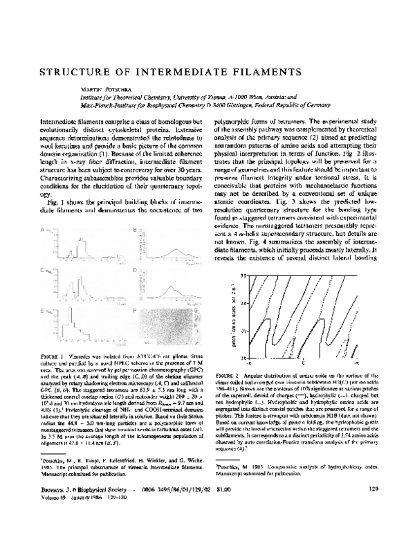 (PDF) The structure of intermediate filaments