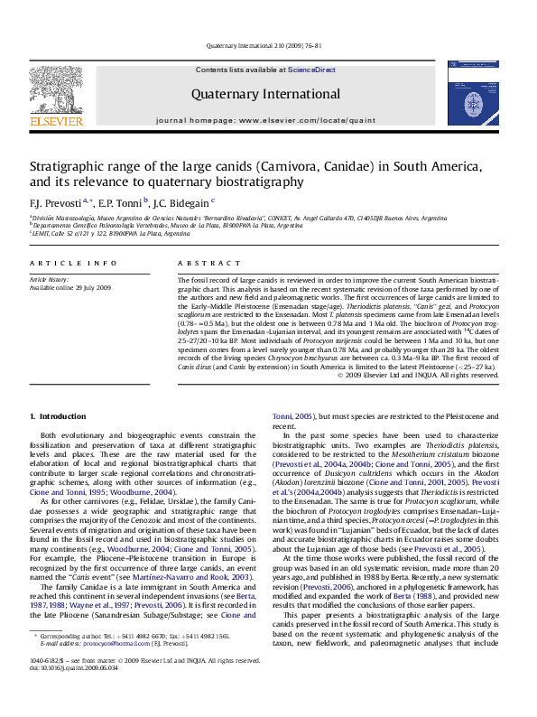 (PDF) Stratigraphic range of the large canids (Carnivora, Canidae) in ...
