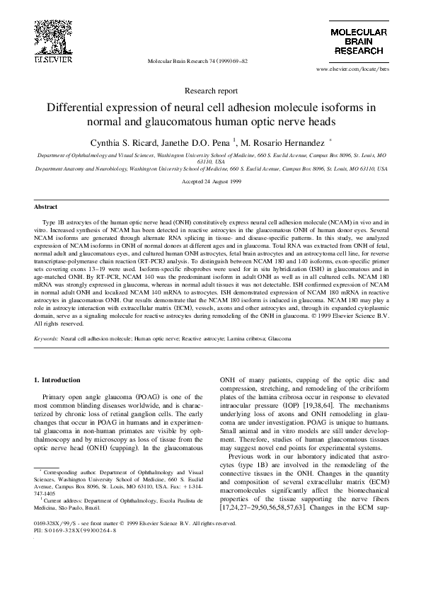 (PDF) Differential expression of neural cell adhesion molecule isoforms in normal and ...
