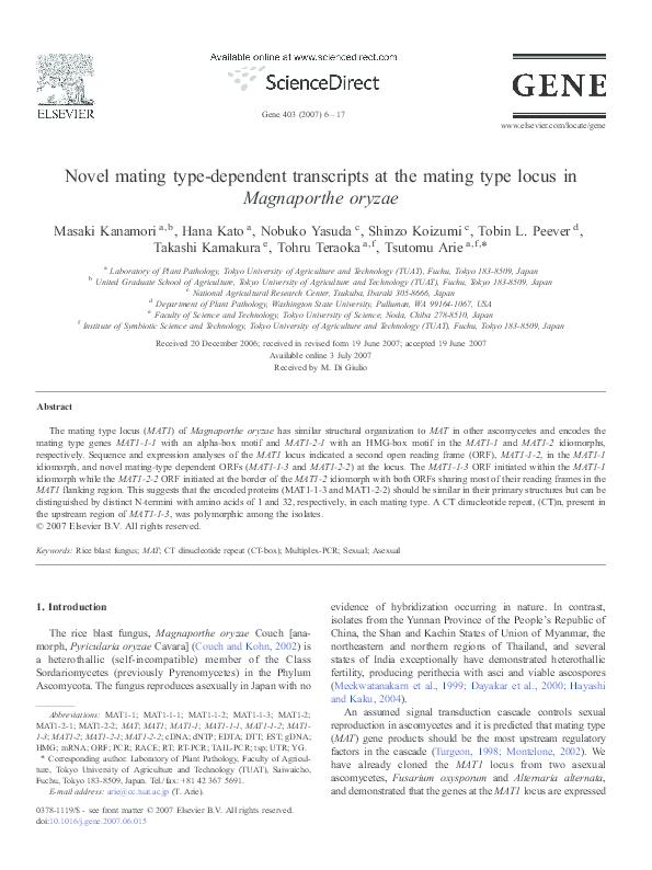 Pdf Novel Mating Type Dependent Transcripts At The Mating Type Locus In Magnaporthe Oryzae