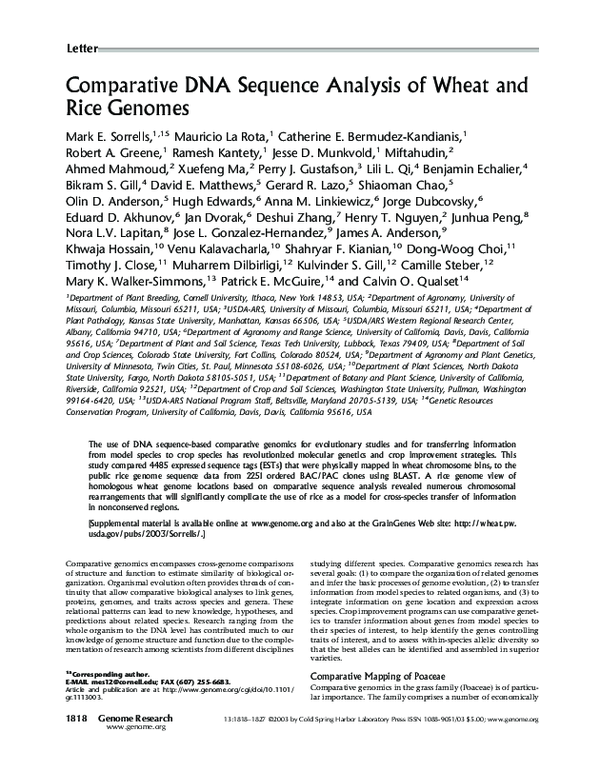 (PDF) Comparative DNA Sequence Analysis of Wheat and Rice Genomes