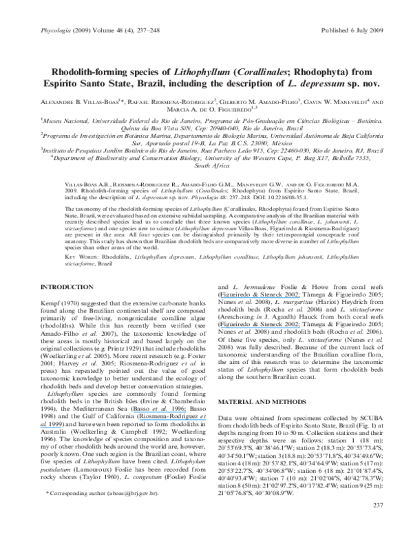 (PDF) Rhodolith-forming species of Lithophyllum (Corallinales ...
