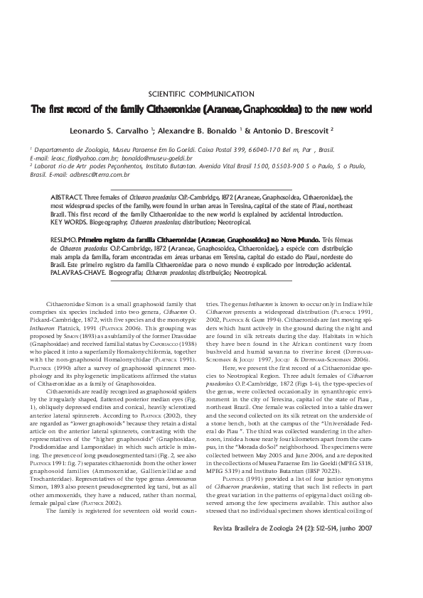 (PDF) The first record of the family Cithaeronidae (Araneae ...