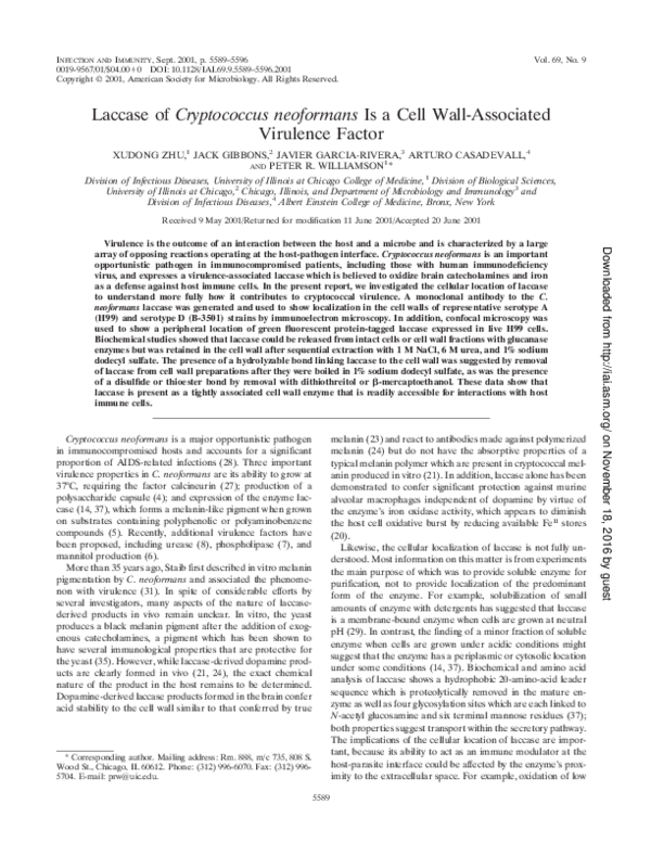 (PDF) Laccase of Cryptococcus neoformans Is a Cell Wall-Associated ...