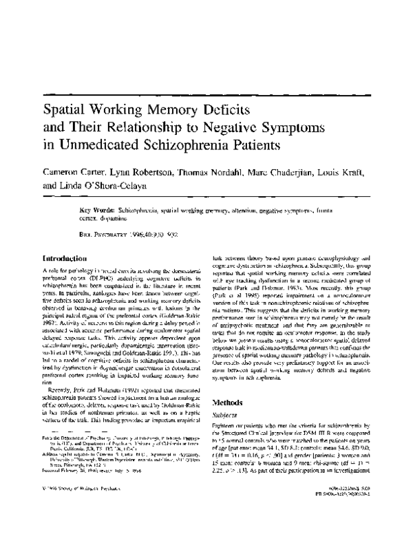 Pdf Spatial Working Memory Deficits And Their Relationship To