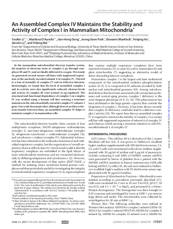 (PDF) An Assembled Complex IV Maintains the Stability and Activity of ...