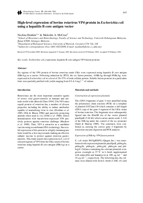 (PDF) High-level expression of bovine rotavirus VP4 protein in ...