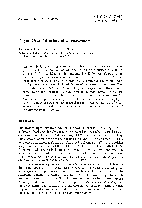 (PDF) Higher order structure of chromosomes