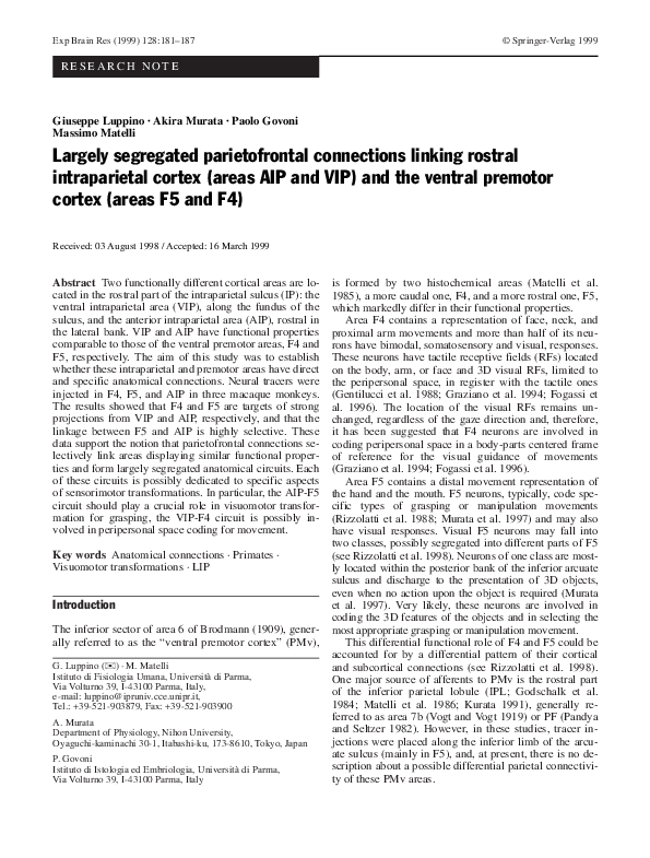 (PDF) Largely segregated parietofrontal connections linking rostral intraparietal cortex (areas ...