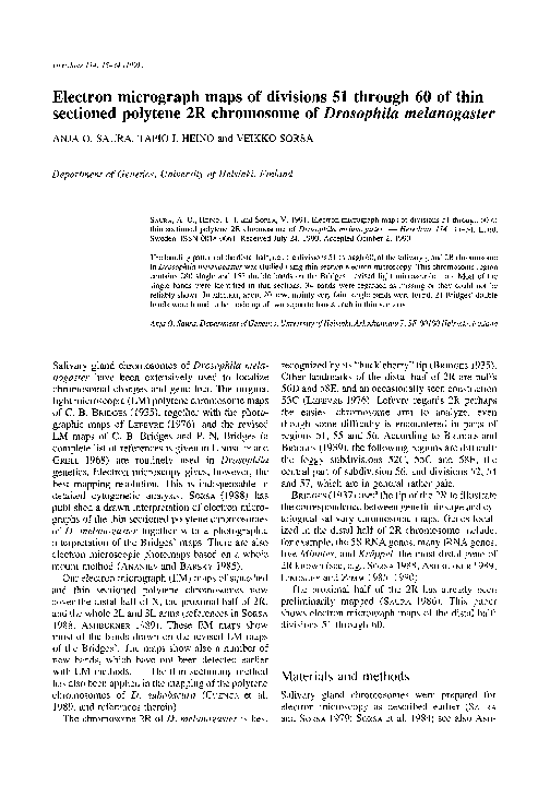 (PDF) Electron micrograph maps of divisions 51 through 60 of thin ...