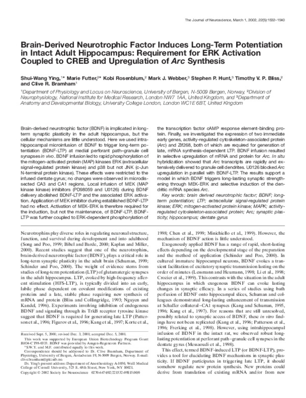(PDF) Brain-derived neurotrophic factor induces long-term potentiation ...