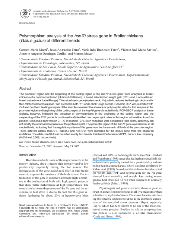 (PDF) Polymorphism analysis of the hsp70 stress gene in Broiler ...