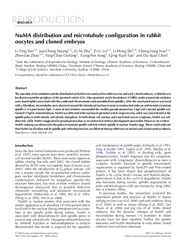 (PDF) NuMA distribution and microtubule configuration in rabbit oocytes ...